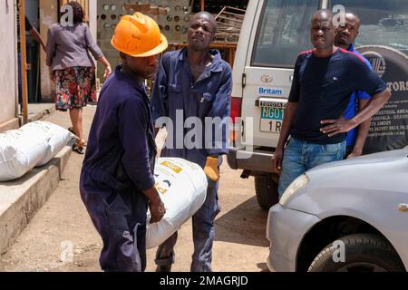 Black soldier fly larvae produced as animal feed. Insect factory farm ...