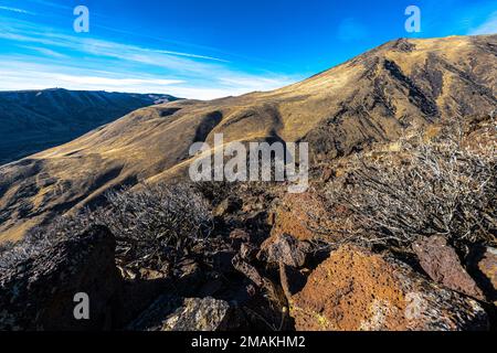 Water Works Canyon Trail in Washington State Stock Photo - Alamy