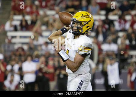 Idaho quarterback Gevani McCoy (4) throws during the first half of an ...