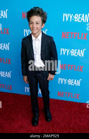 LOS ANGELES - AUG 29: Jesse Gervasi at the Ivy + Bean Special Screening at Harmony GOld Theater ...