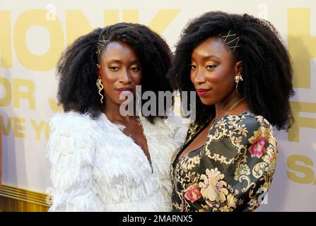 Adamma Ebo, left, and her sister Adanne, co-directors of "Honk for ...