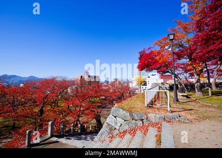 Autumn in Iwate park, Morioka city, Iwate, Japan Stock Photo - Alamy