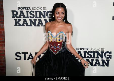 Paulina Singer attends the Starz television series "Power Book III ...