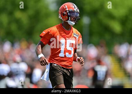 Cleveland Browns quarterback Joshua Dobbs looks to pass during NFL ...