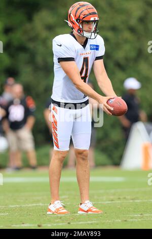 Cincinnati Bengals' Drue Chrisman participates in a drill during a ...