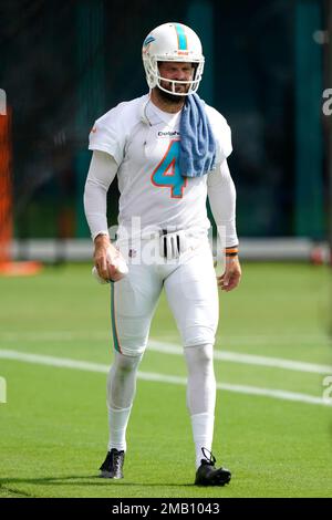 Miami Dolphins punter Thomas Morstead (4) punts the ball during an NFL ...