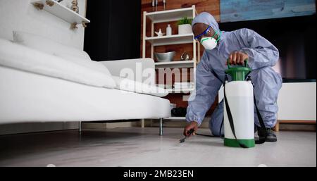 Exterminate Pest Termites In Living Room Service Stock Photo - Alamy
