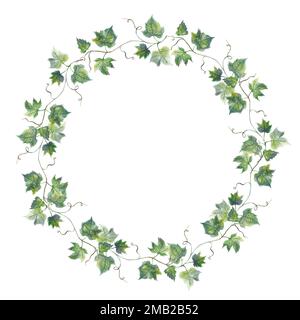 Grapevine leaf grapes wreath circle watercolor illustration hand ...