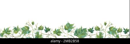 Seamless border with long grape vine, green leaves, tendrils and bunch of grapes. Hand drawn ...