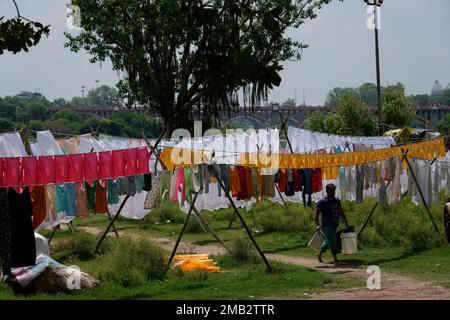 Dhobis, washermen, wash and dry clothes in the river, Yamina, Delhi ...