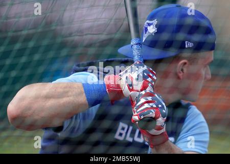 Toronto Blue Jays' Matt Chapman plays during a baseball game, Wednesday ...