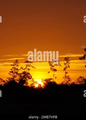 A vertical shot of a mesmerizing golden sunset with the silhouette of ...