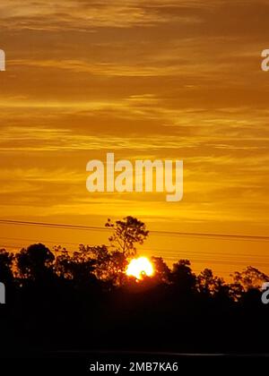 A vertical shot of a mesmerizing golden sunset with the silhouette of ...
