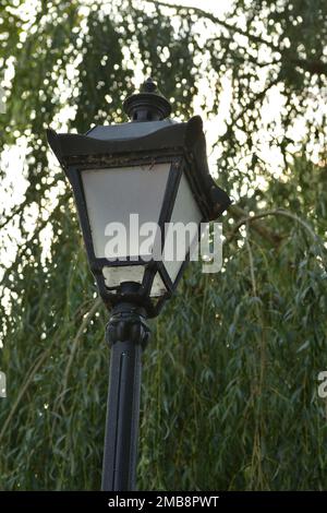 Autumn alley with old-fashioned lanterns in autumn colors on a slightly ...