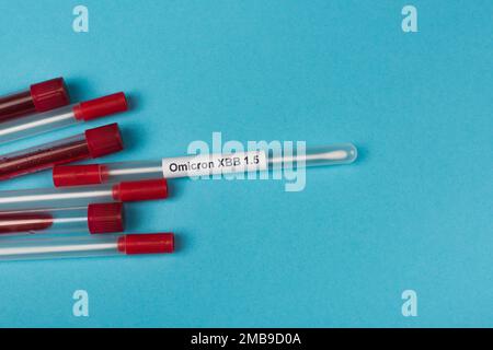 Top view of test tubes and cotton swabs near omicron xbb lettering on ...