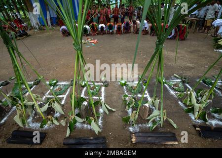 Rabha tribal people in traditional attire perform traditional Rabha ...