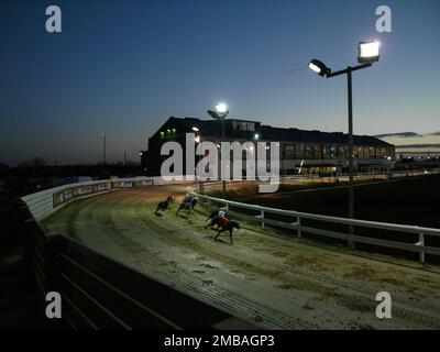 Greyhound Racing - Sunderland Greyhound Stadium Stock Photo - Alamy