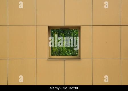 A yellow wall with black lined squares and a window to the tree Stock ...