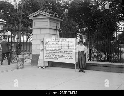 Woman Suffrage Banner, 1917 Stock Photo - Alamy