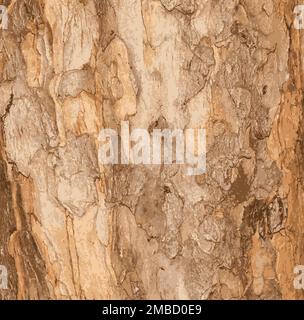 Realistic illustration of natural yew bark abstract background. Taxus ...