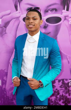Elijah Richardson poses at the premiere of the film "Hollywood Stargirl ...