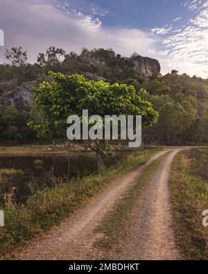 The Golden hour at Cape Pallarenda Conservation Park in Townsville, Far ...