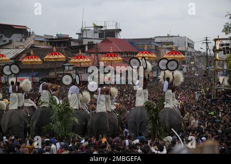 Crowd with elephants during Pooram festival in Thrissur, Kerala, India ...