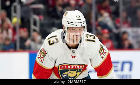 Florida Panthers center Sam Reinhart (13) skates with the puck during ...