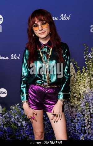 Ava Maybee arrives at the 20th Anniversary Celebration of "American ...