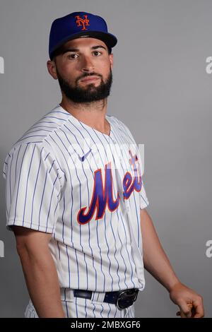 This is a 2022 photo of Nick Dini of the New York Mets baseball team ...