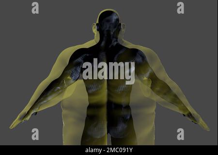 3D render. Athletic man inside an obese body on a gray background. Copy ...