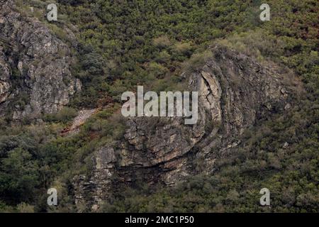 Synclinal fold outcrops in the mountains of Serra do Courel, Lugo ...