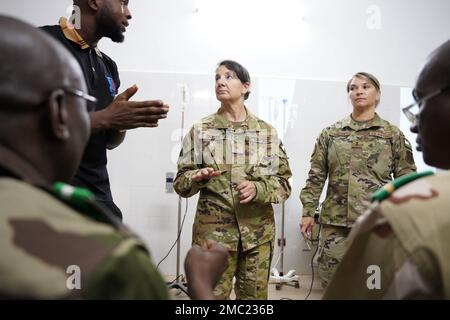 Brig. Gen. Lisa Snyder, Indiana Air National Guard senior medical ...