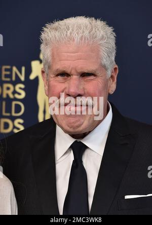 Ron Perlman arrives at the Screen Actors Guild Foundation's 4th Annual ...