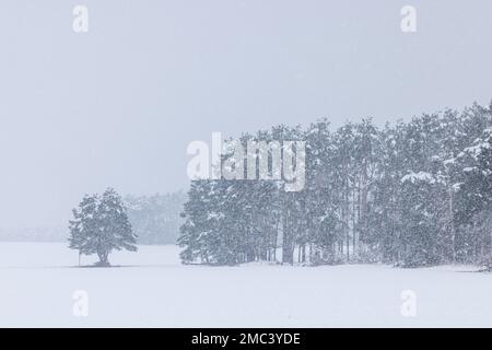Leuthen, Germany. 21st Jan, 2023. The onset of blowing snow obstructs ...