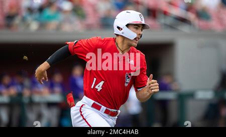 North Carolina State's Jacob Cozart (14) reacts to a home run during an ...