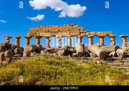 Ruins and columns of the temple of Acropoli in the archaeological site ...