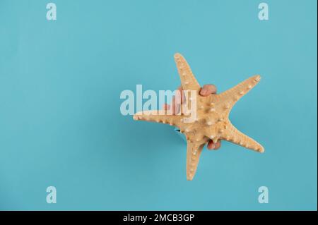 A hand with a starfish sticking out of a hole in a blue cardboard ...