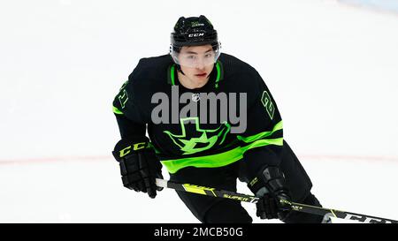 Dallas Stars forward Jason Robertson celebrates scoring a goal during ...