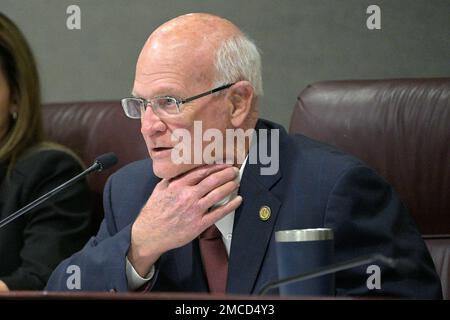 Florida Sen. Dennis Baxley makes a point during a Senate Community ...