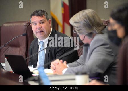 Florida Sen. Tina Polsky makes a point during a Senate Community ...