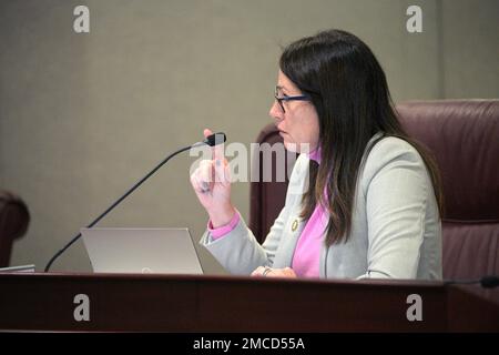 Florida Sen. Tina Polsky makes a point during a Senate Community ...