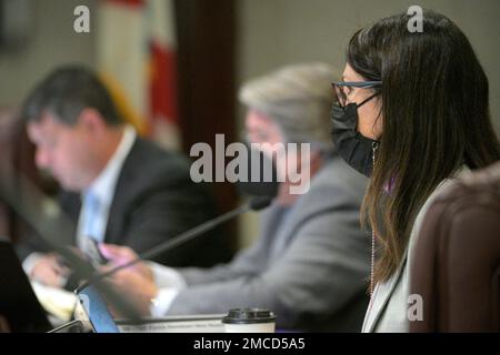 Florida Sen. Tina Polsky, right, makes a point during a Senate ...