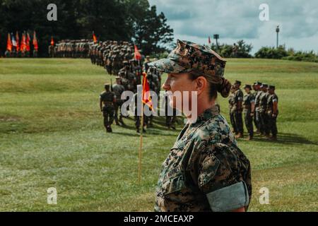 U.S. Marine Corps Col. Ginger E. Beals, commanding officer of Combat ...