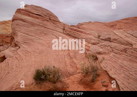 Fire Wave is a fascinating sandstone formation in Valley of Fire State ...