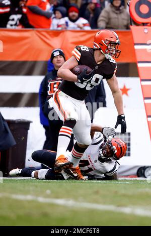 Cincinnati Bengals safety Trayvon Henderson (41) drops back into ...