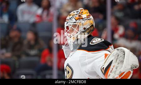 Anaheim Ducks goalie Lukas Dostal dives for the puck during third ...