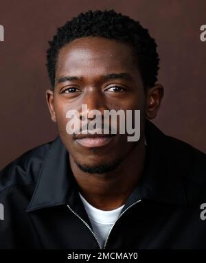 Actor Damson Idris poses for a portrait, Monday, Nov. 1, 2021, in Los ...