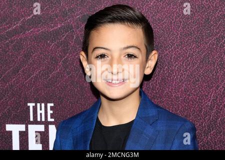 Daniel Ranieri attends a screening "The Tender Bar" hosted by Amazon ...