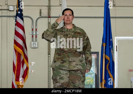 Col. Amanda Figueroa, 694th Intelligence, Surveillance and ...